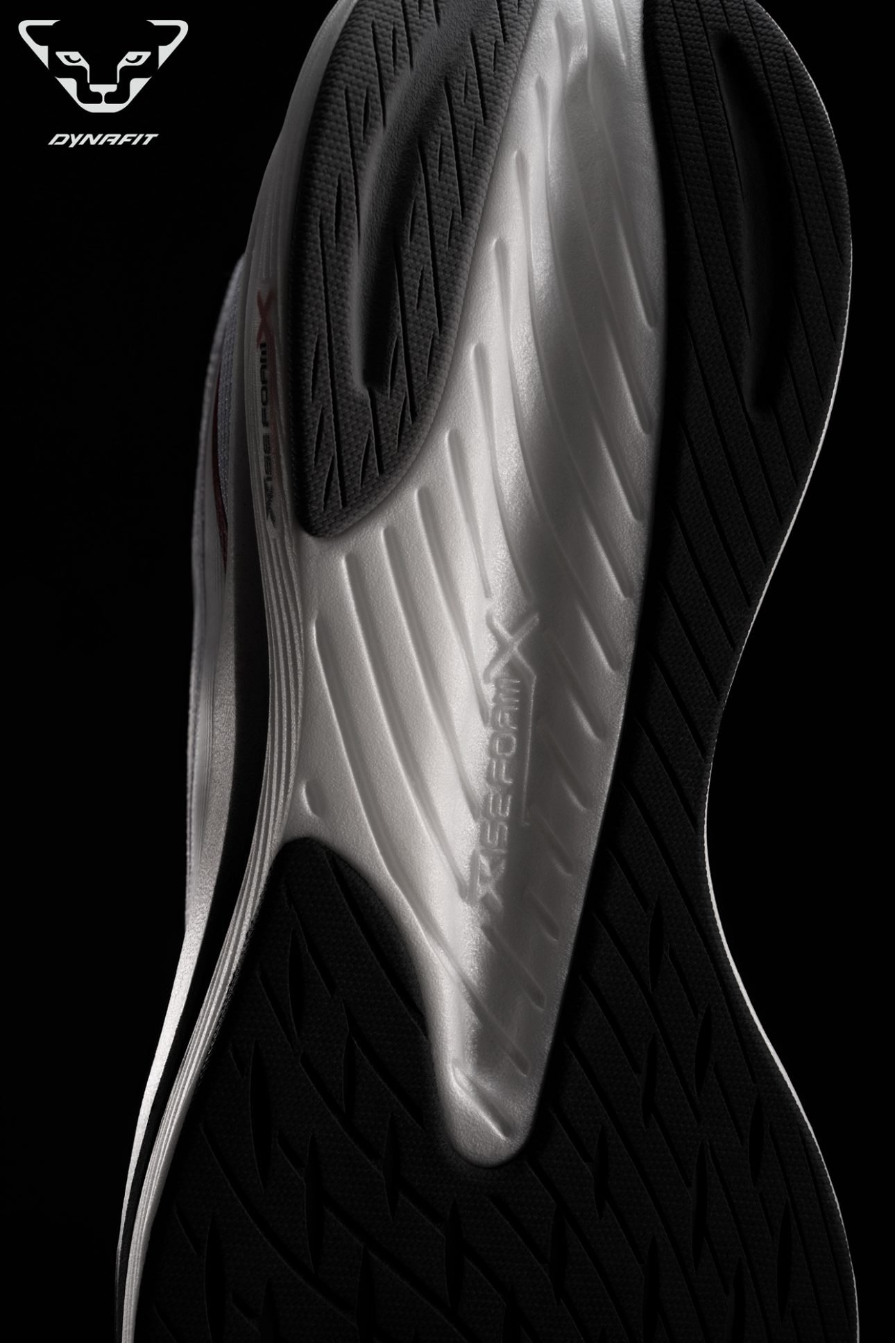 Dynafit, 2024 - ab studio